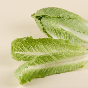Selada Romaine yang Punya Efek Melangsingkan Tubuh